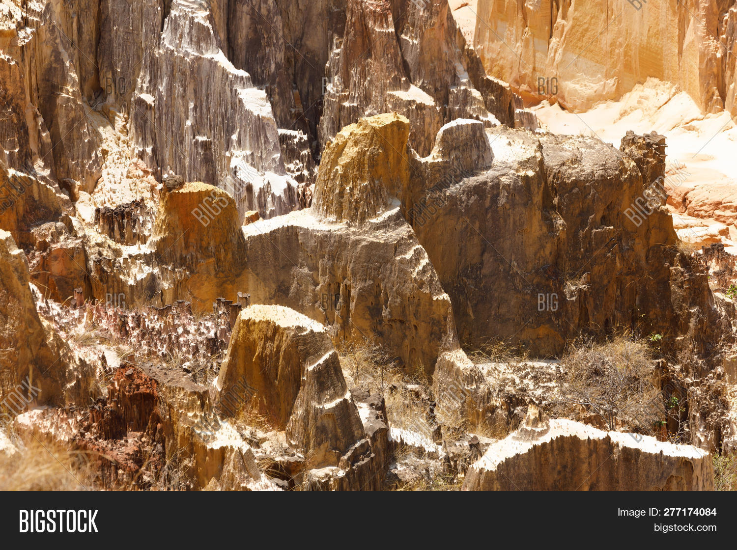 Imagen y foto Famous Lavaka (prueba gratis) | Bigstock