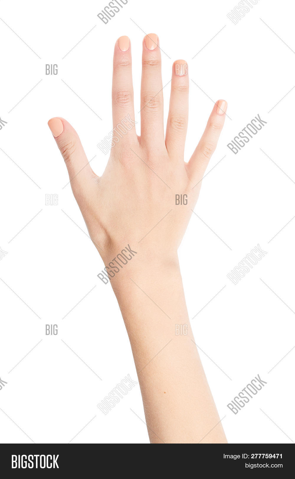 Female Hand Isolated Image & Photo (Free Trial) | Bigstock
