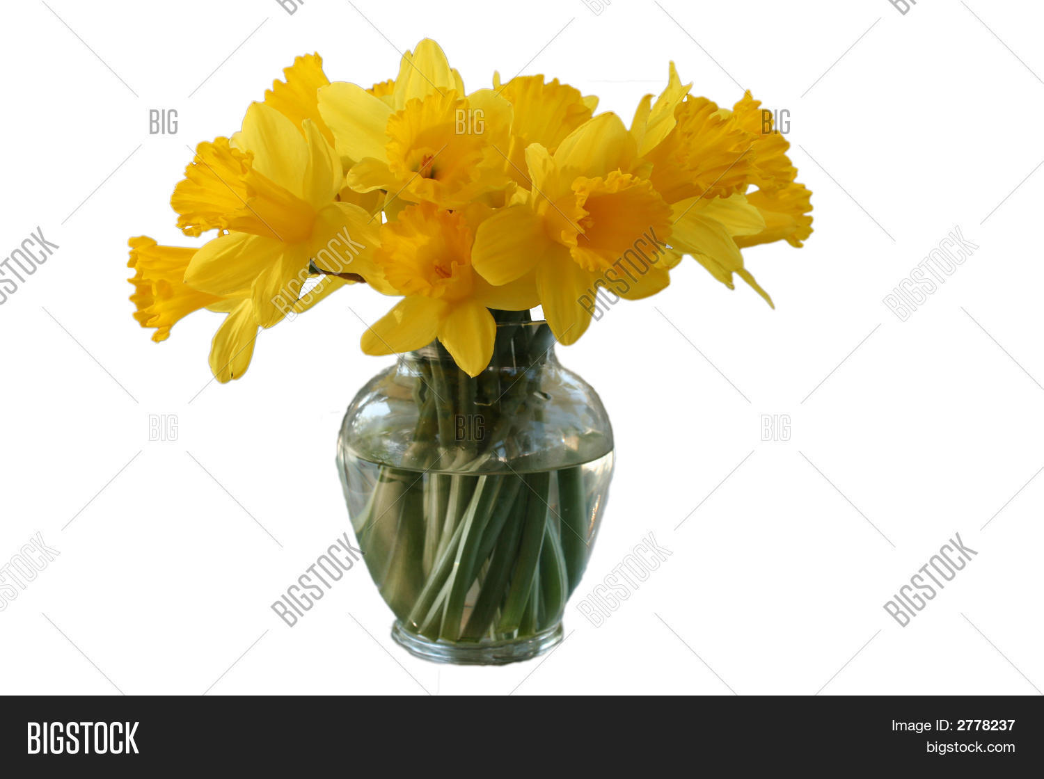 Vase Daffodils Image & Photo (Free Trial) | Bigstock