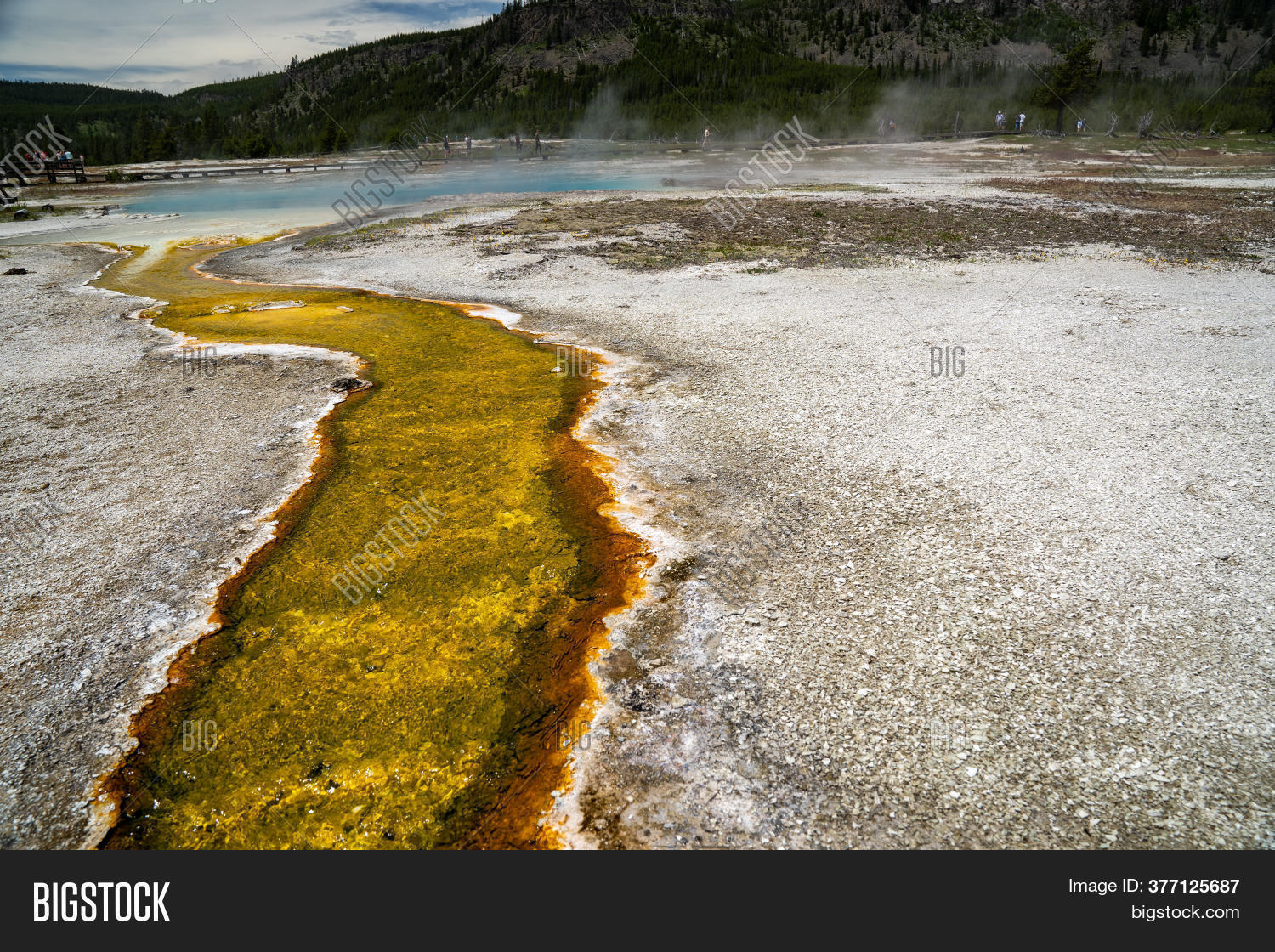 Steam Yellow Colored Image & Photo (Free Trial) | Bigstock