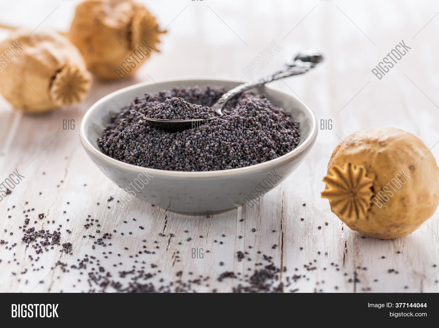 Organic Poppy Seeds Image & Photo (Free Trial) | Bigstock