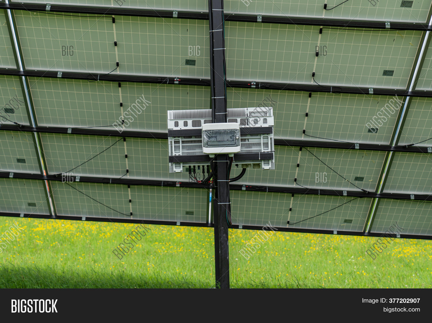 Back Side View Image & Photo (Free Trial) | Bigstock