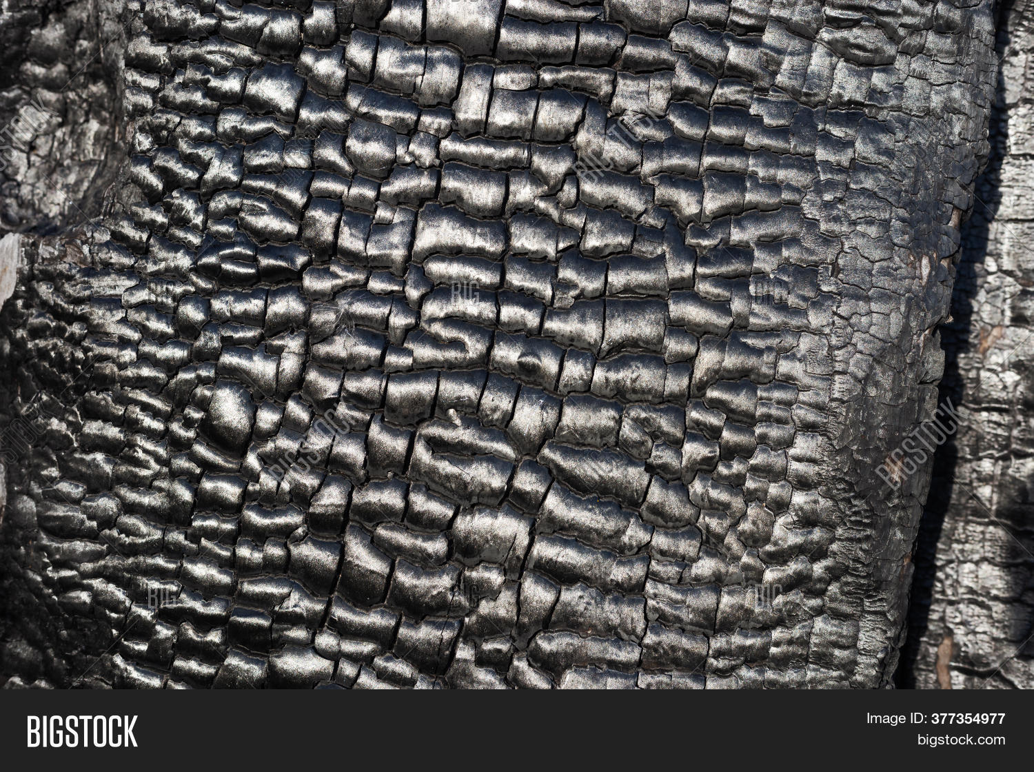 Burnt Wooden Surface. Image & Photo (Free Trial) | Bigstock