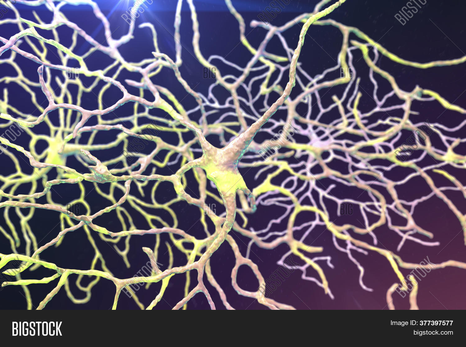 Retinal Neuron, Neuron Image & Photo (Free Trial) | Bigstock