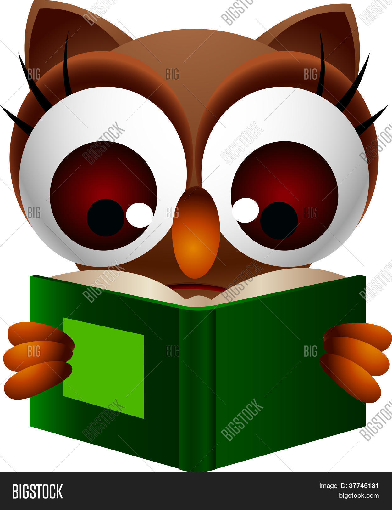 Cute Owl Reading Book Image & Photo (Free Trial) | Bigstock