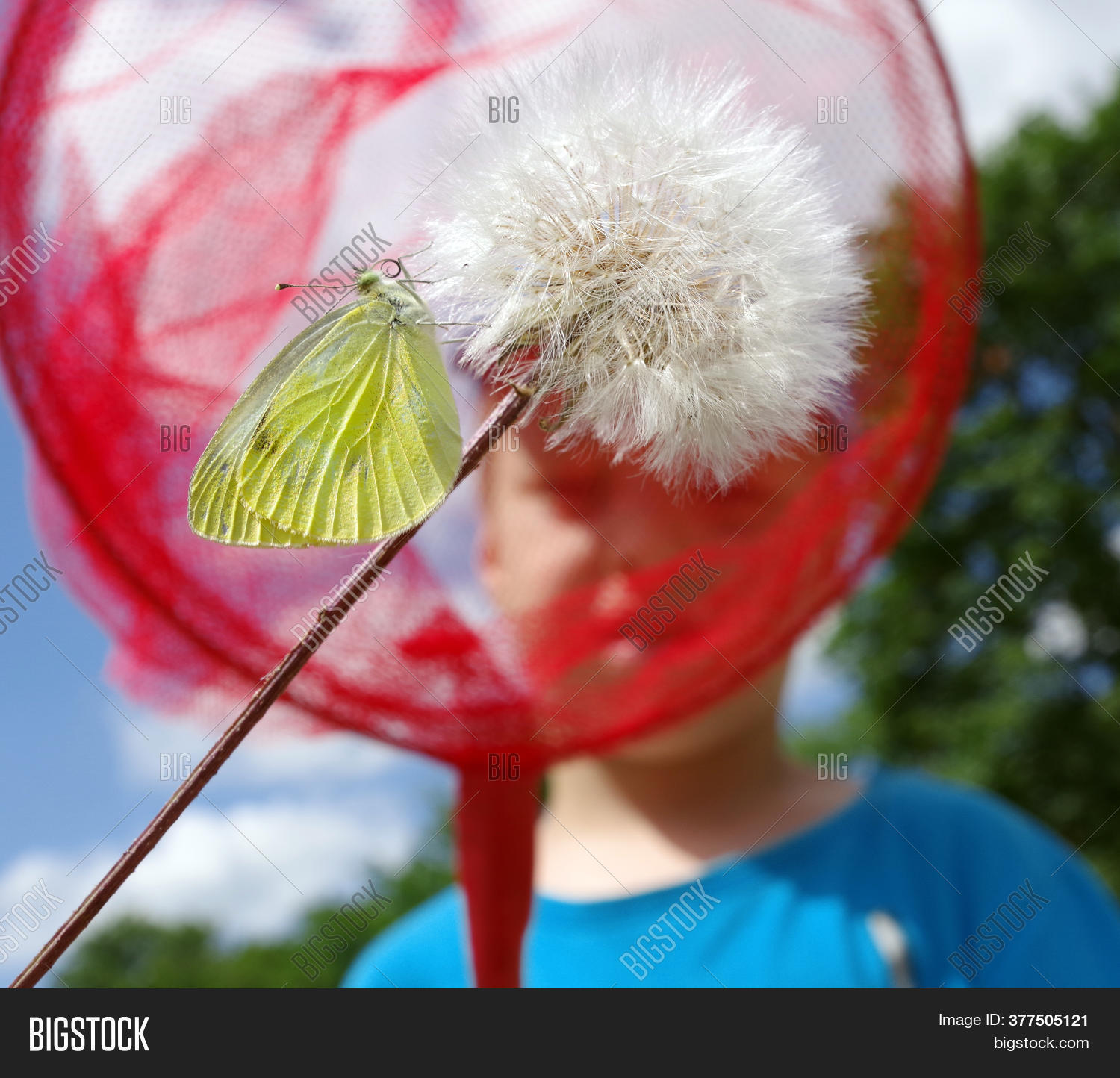 Child Butterfly. Boy Image & Photo (Free Trial) | Bigstock