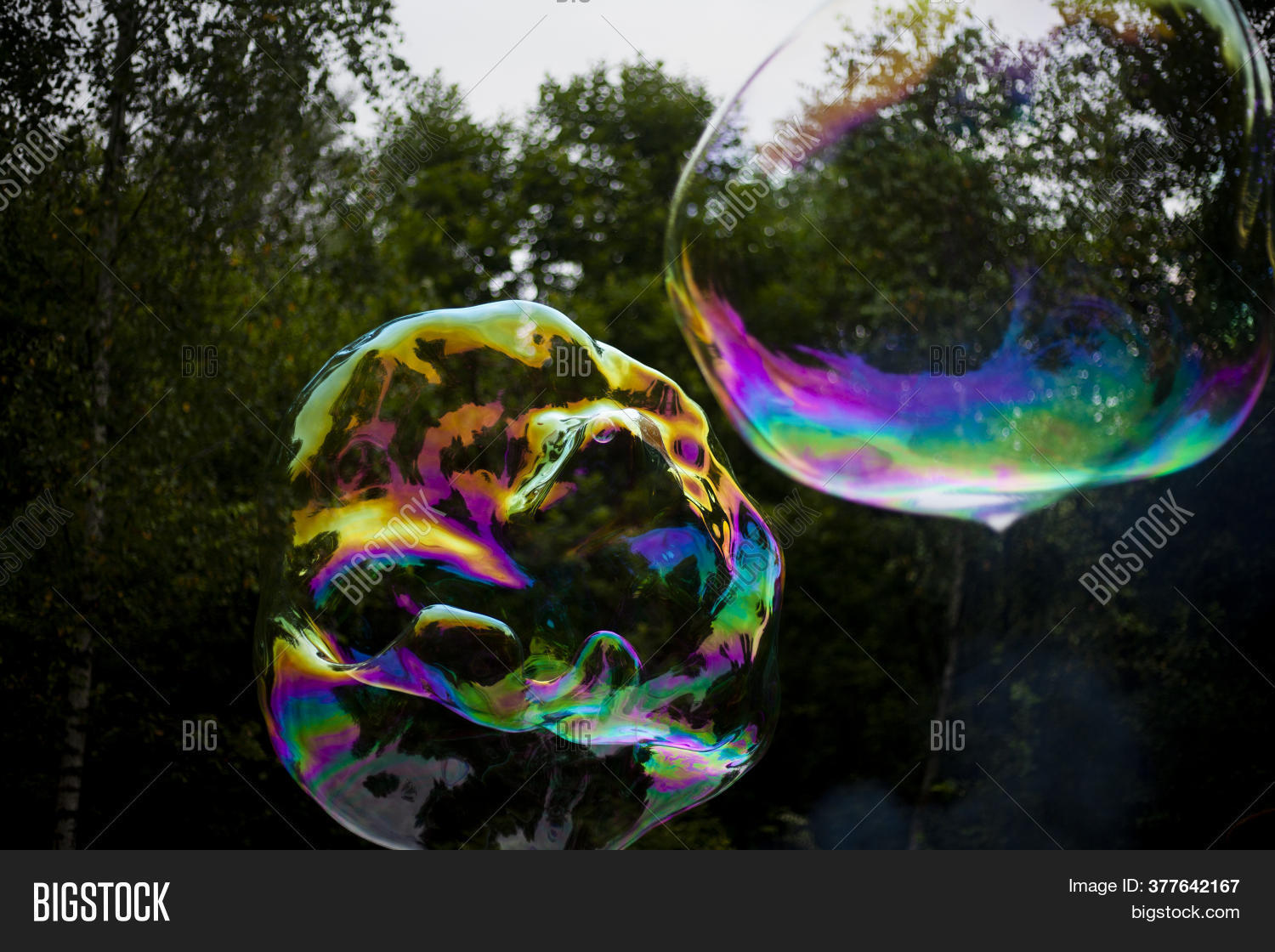 Large Soap Bubble Image & Photo (Free Trial) | Bigstock