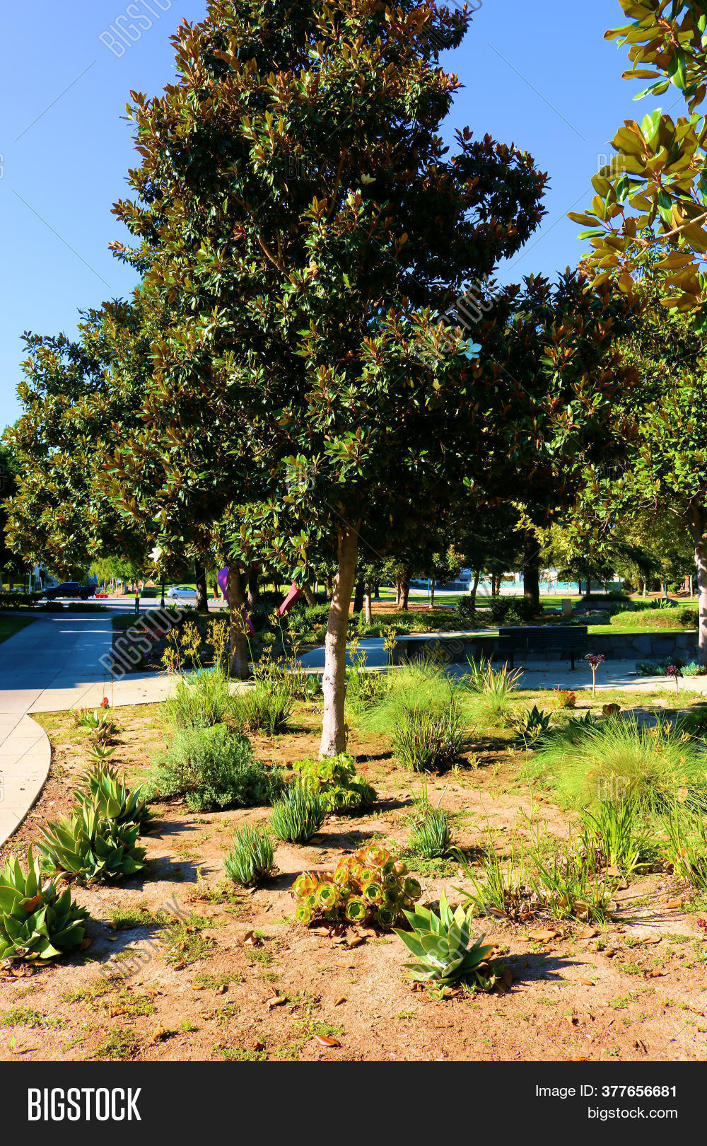 Manicured Plants Image & Photo (Free Trial) | Bigstock