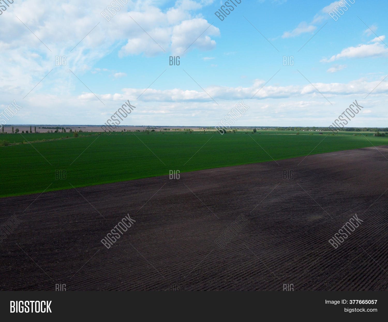 Vast Farmland On Sunny Image & Photo (Free Trial) | Bigstock