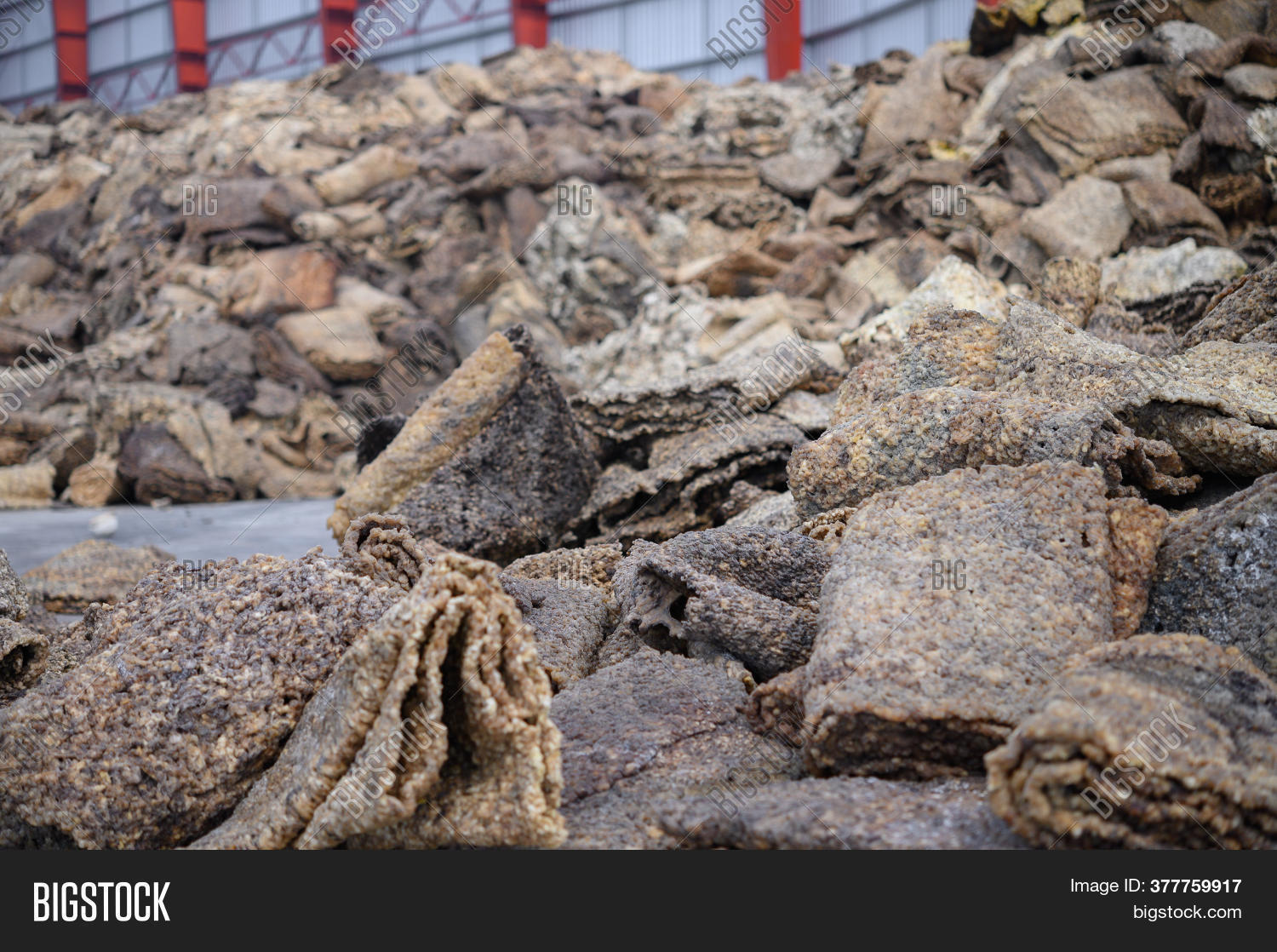 Rubber Processing Image & Photo (Free Trial) | Bigstock