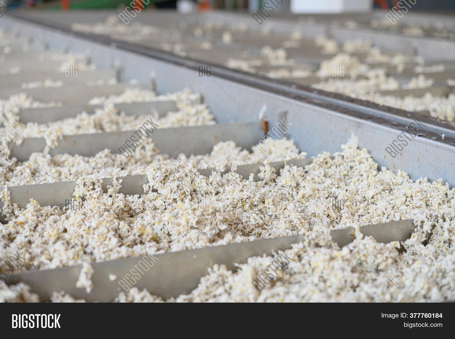 Rubber Processing Image & Photo (Free Trial) | Bigstock