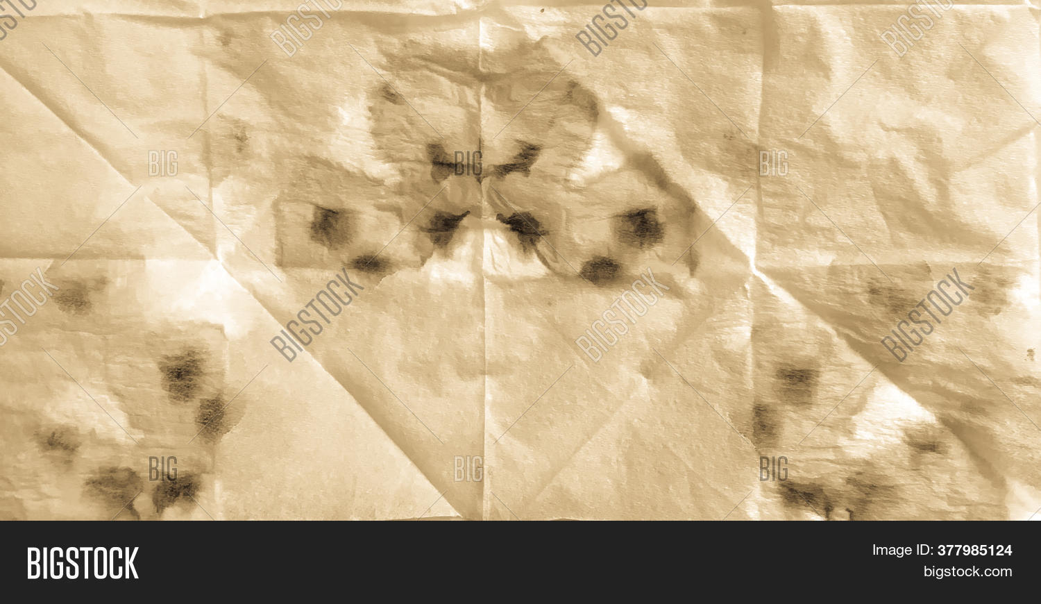 Ripped Parchment. Image & Photo (Free Trial) | Bigstock