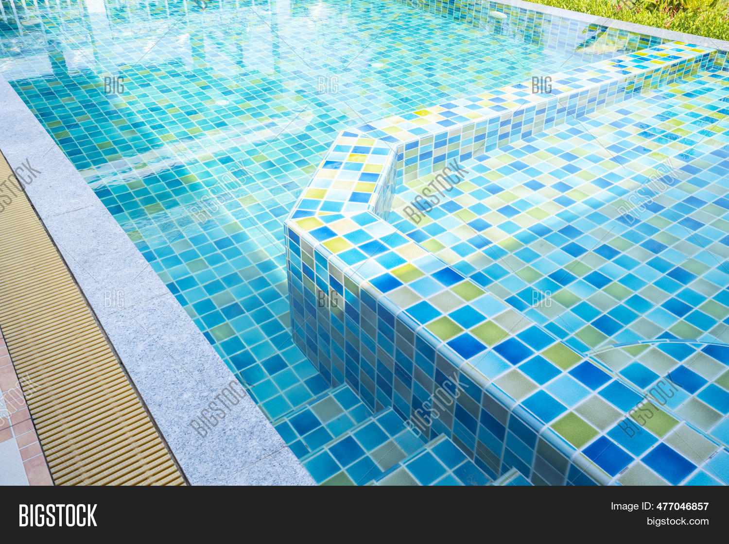 Macro Swimming Pool Image & Photo (Free Trial) | Bigstock