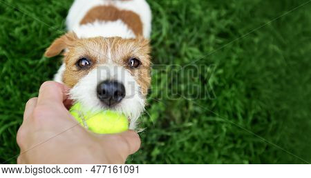 Hand Giving Ball Happy Image & Photo (Free Trial) | Bigstock