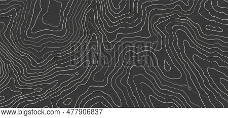 Topographic Map Vector & Photo (Free Trial) | Bigstock