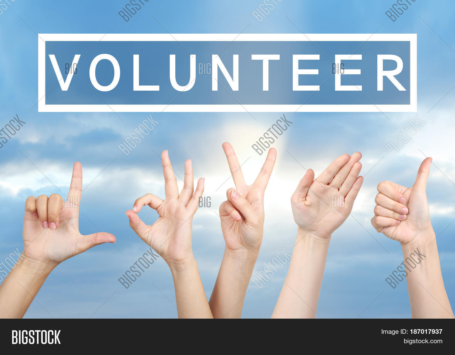 Volunteer Concept. Image & Photo (Free Trial) | Bigstock