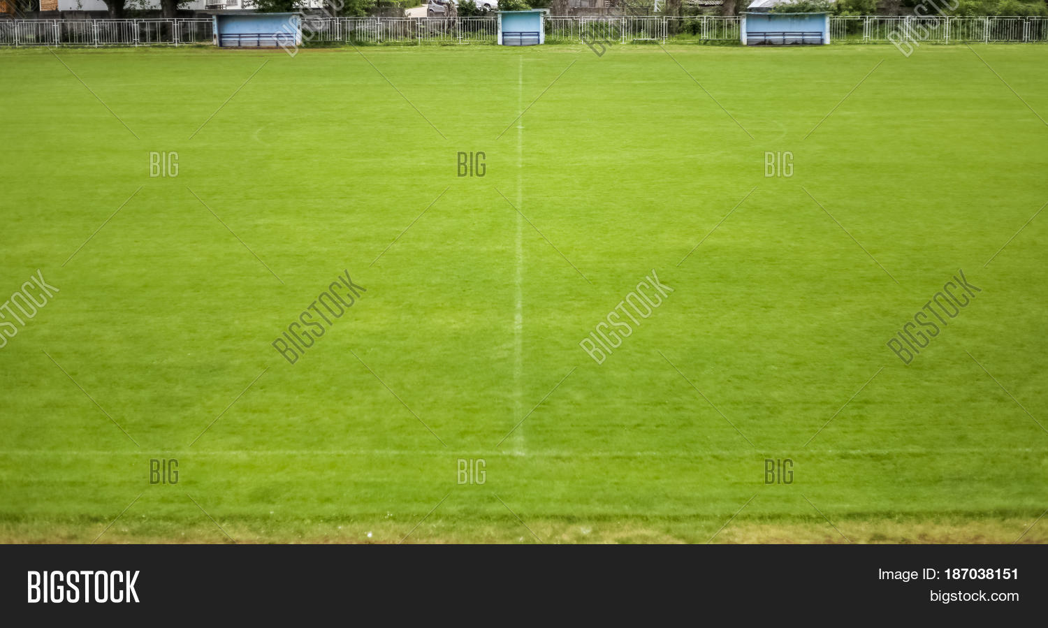 Green Grass Stadium Image & Photo (Free Trial) | Bigstock