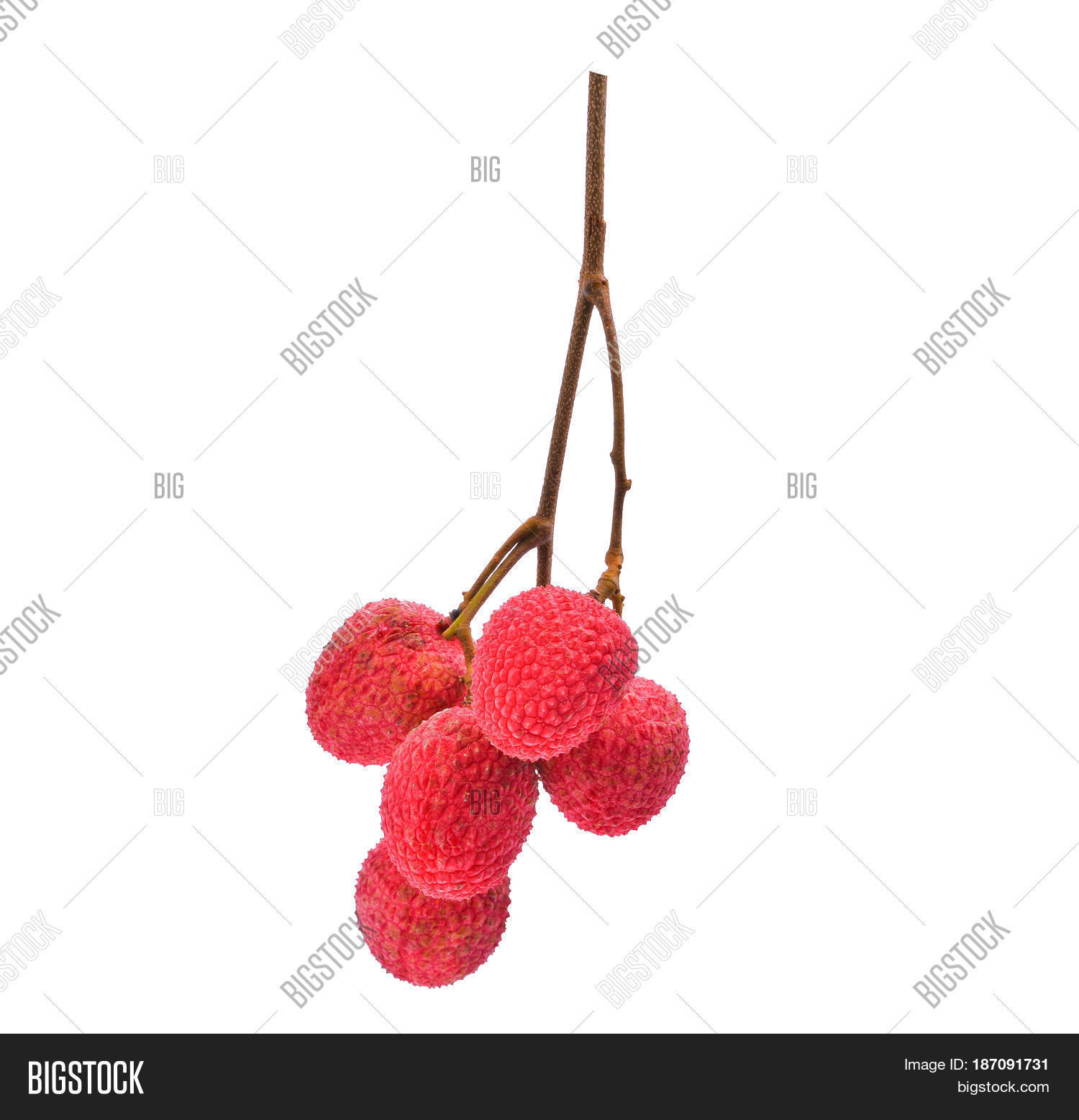 Fresh Lychee Isolated Image & Photo (Free Trial) | Bigstock