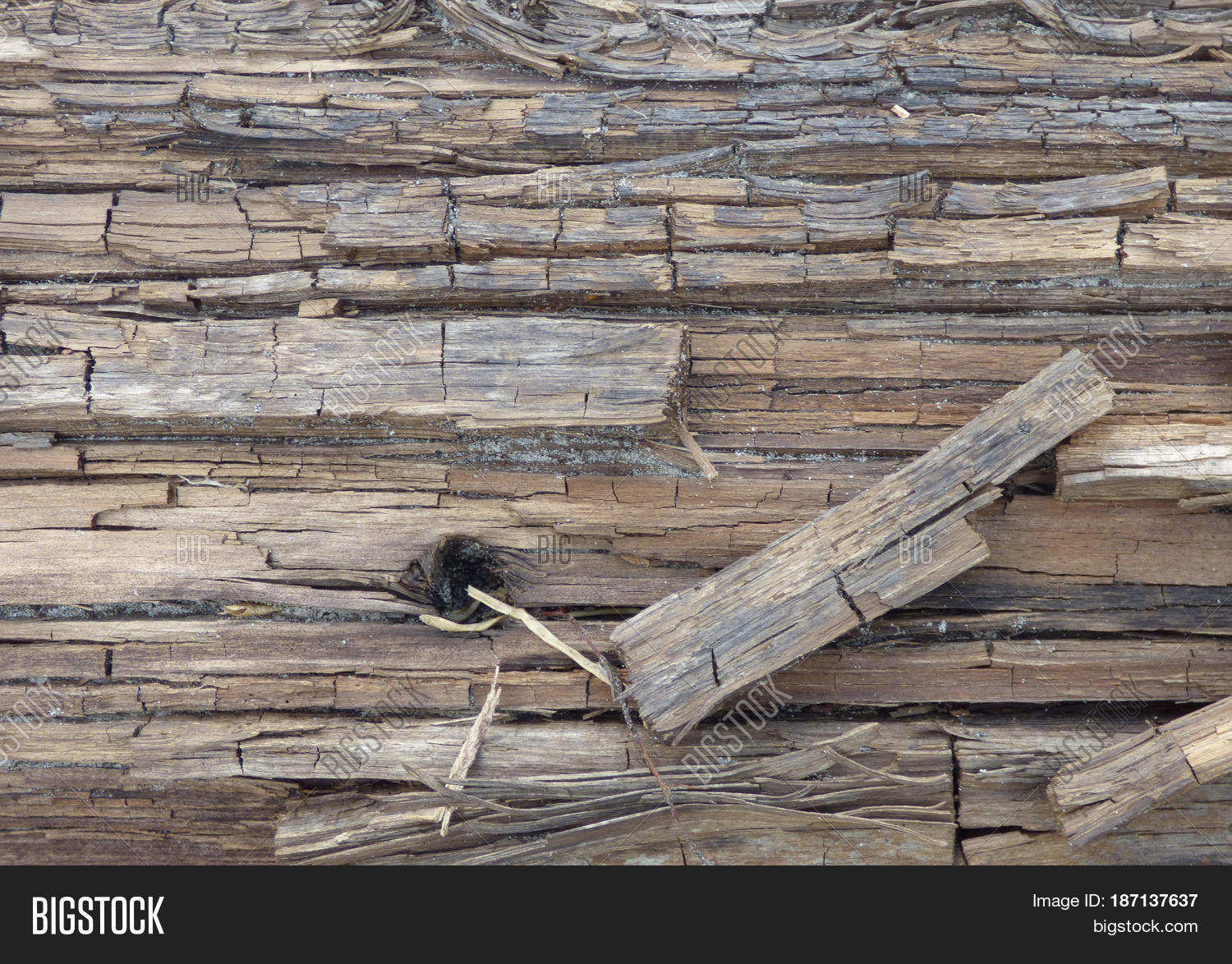 Old Cracked Wood Image & Photo (Free Trial) | Bigstock