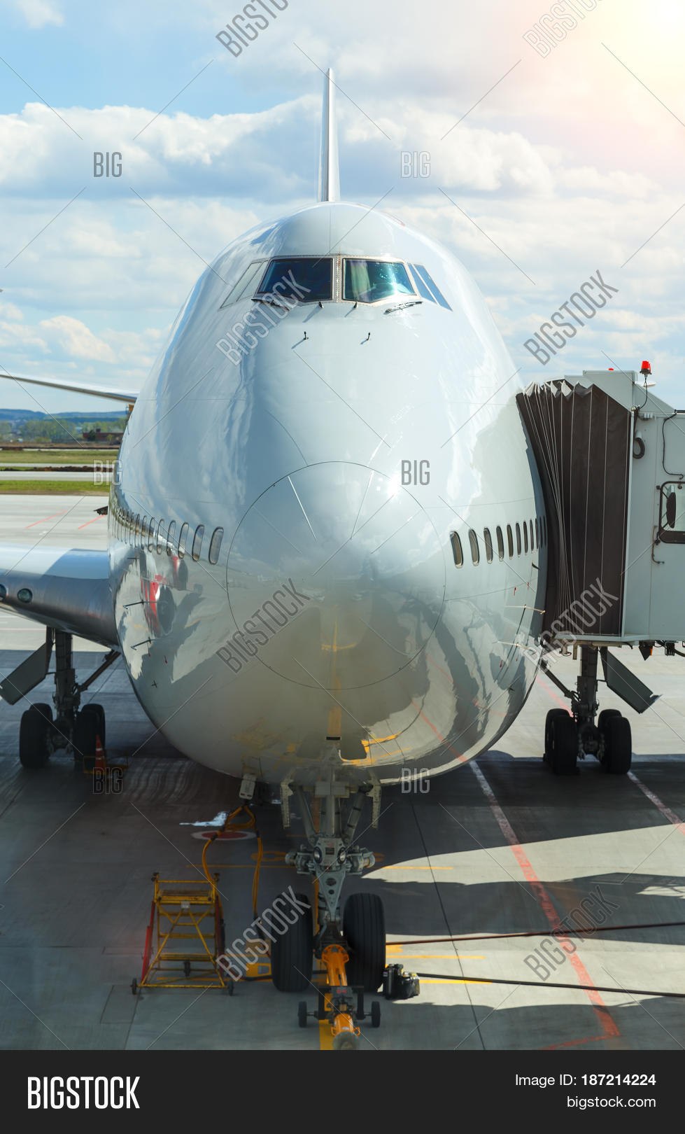 Plane Head. Big Image & Photo (Free Trial) | Bigstock