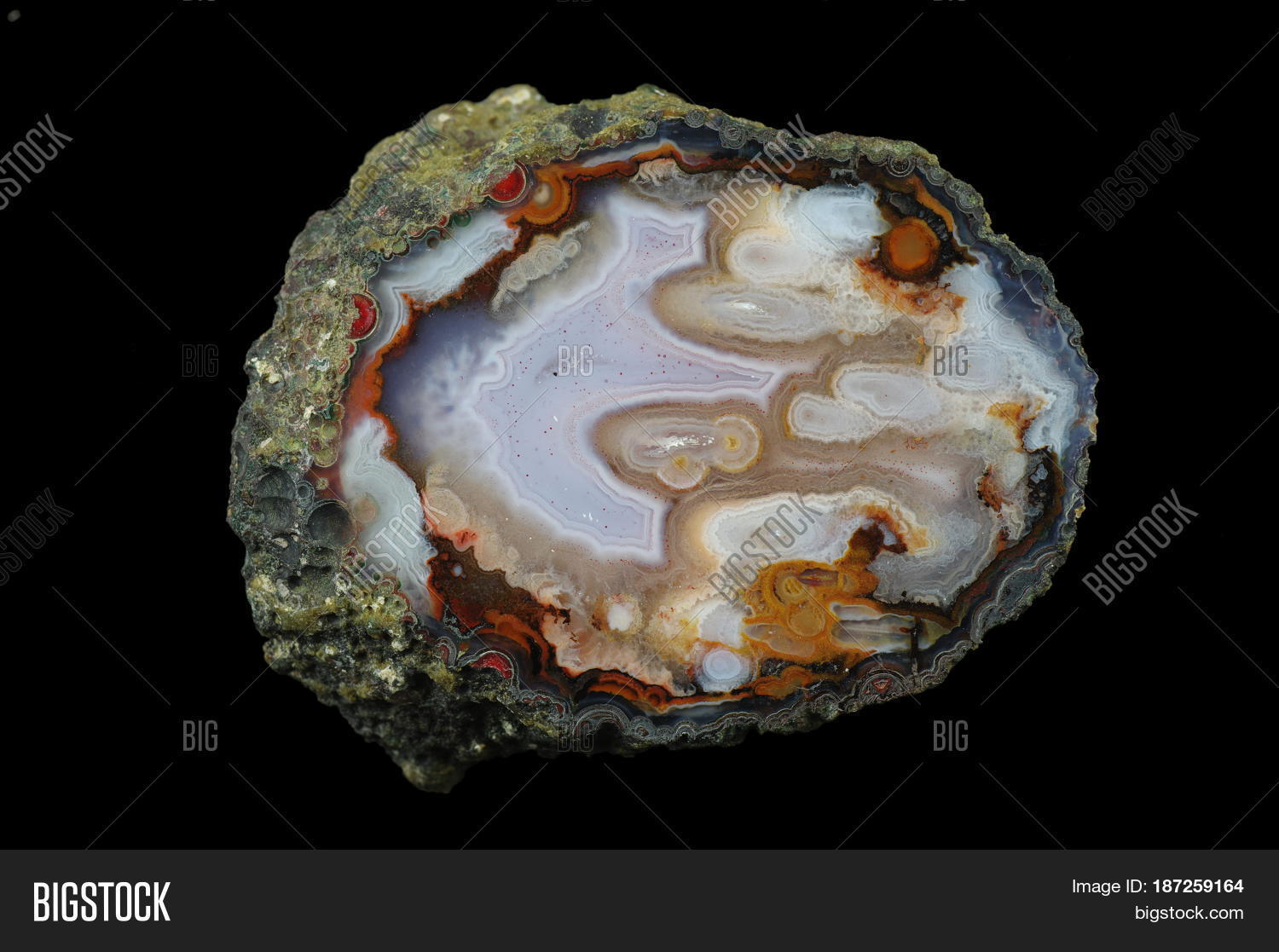 Cross Section Eyelet Image & Photo (Free Trial) | Bigstock