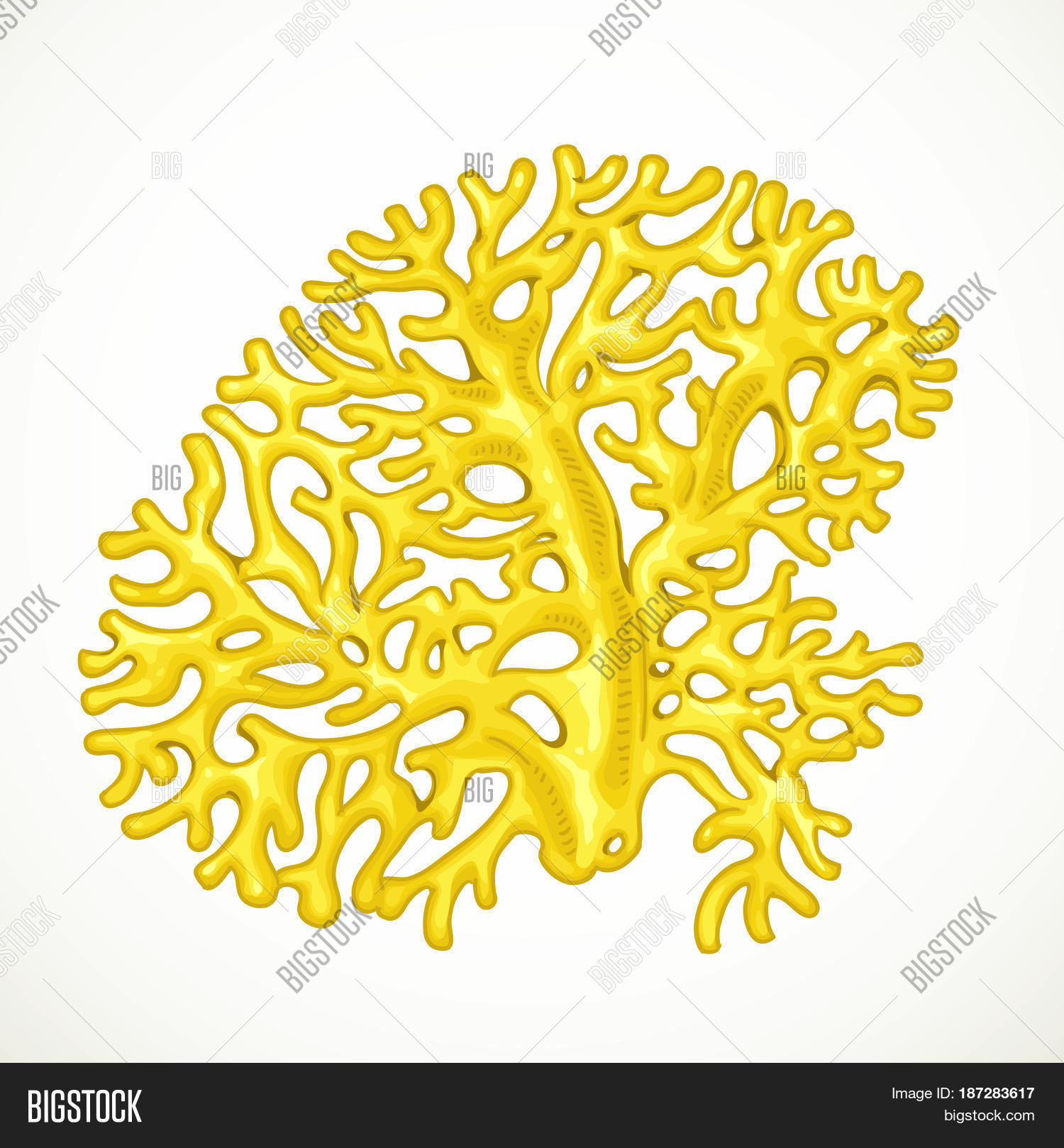 Big Yellow Corals Sea Vector & Photo (Free Trial) | Bigstock