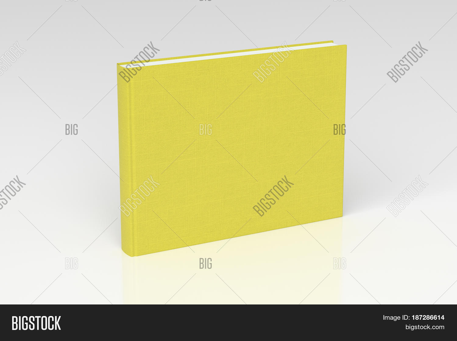Blank Book Cover Image & Photo (Free Trial) | Bigstock