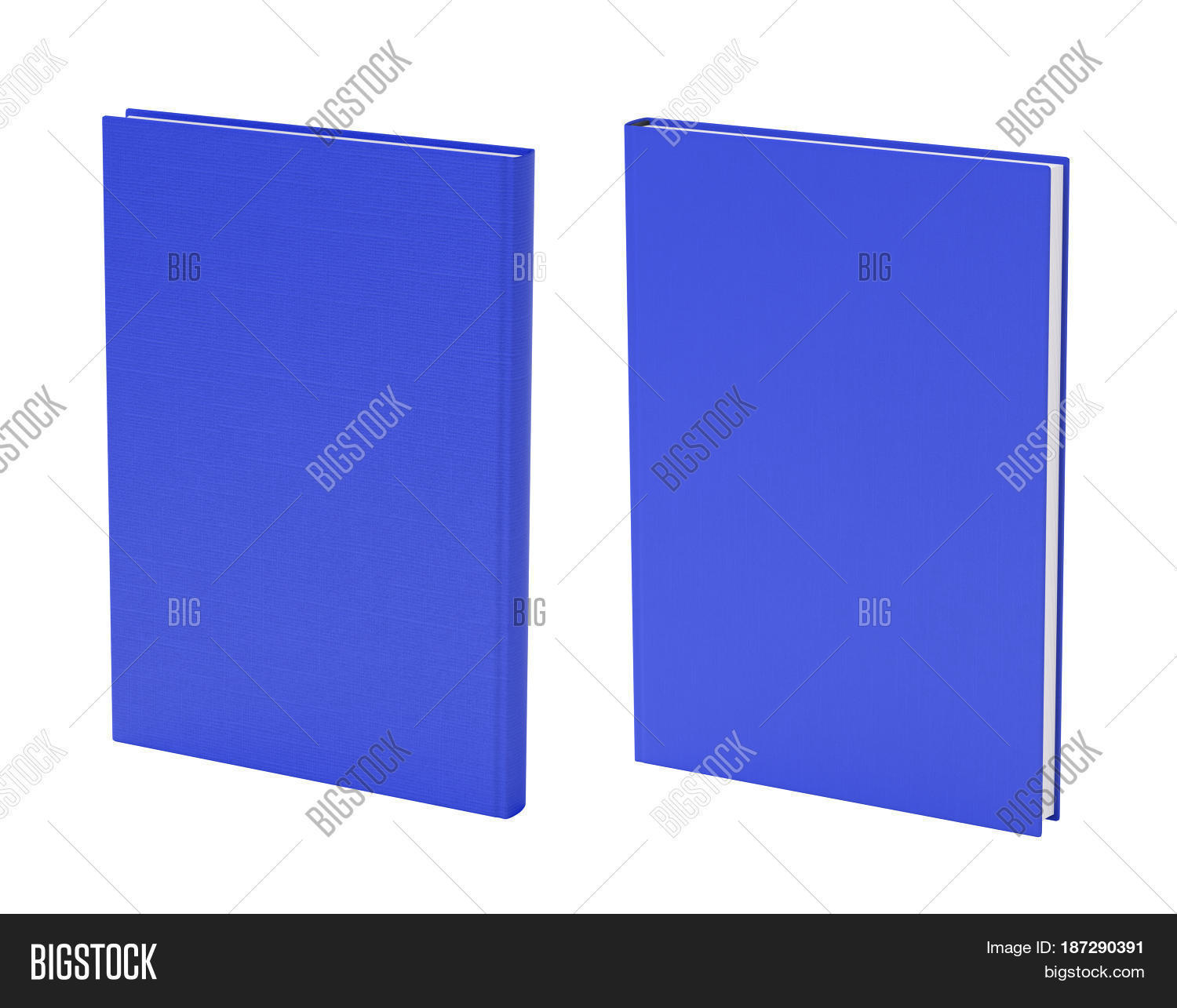 Front Back View Image & Photo (Free Trial) | Bigstock