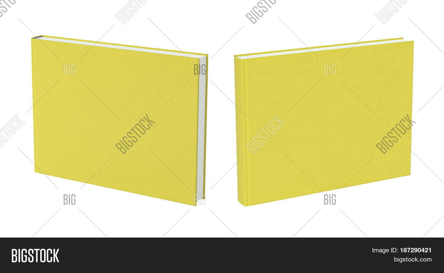 Front Back View Image & Photo (Free Trial) | Bigstock