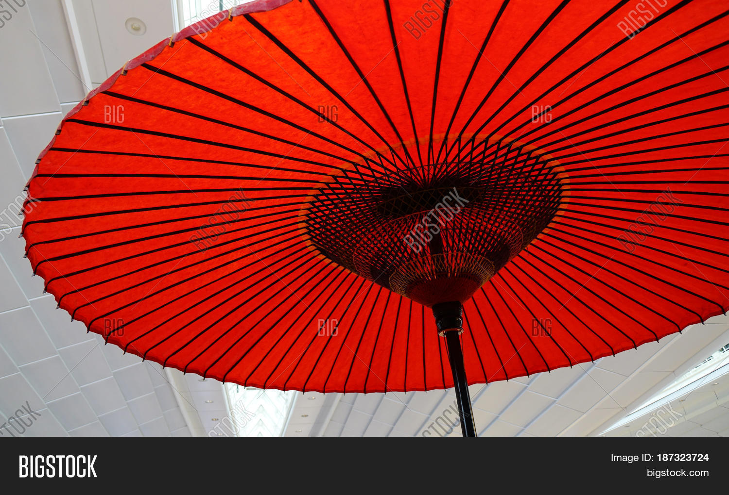Traditional Umbrella Image & Photo (Free Trial) | Bigstock