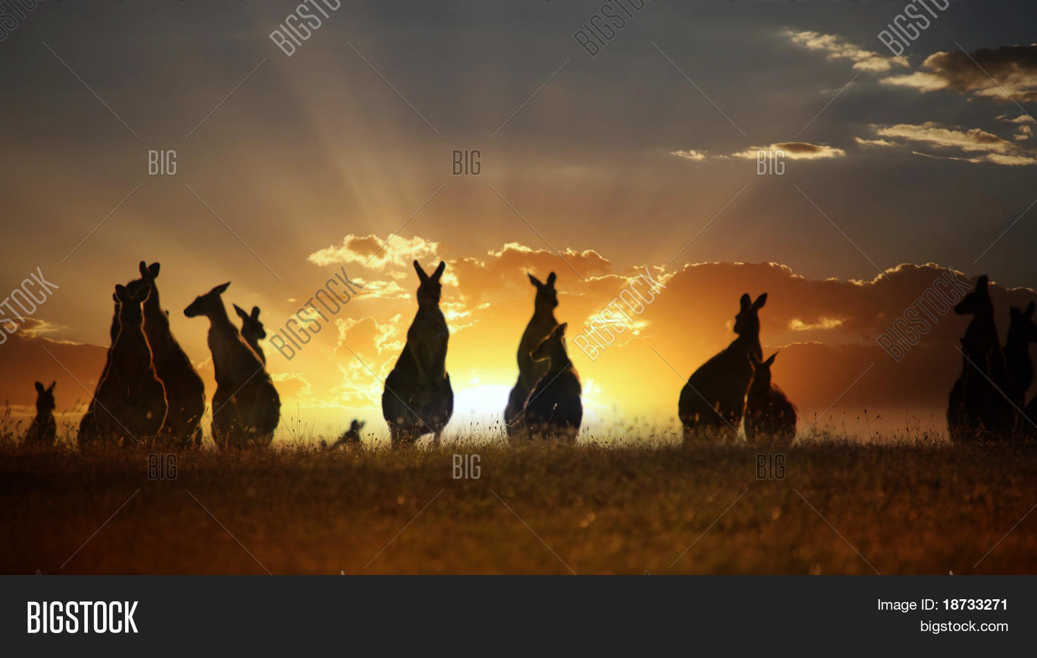 Australian Outback Image & Photo (Free Trial) | Bigstock
