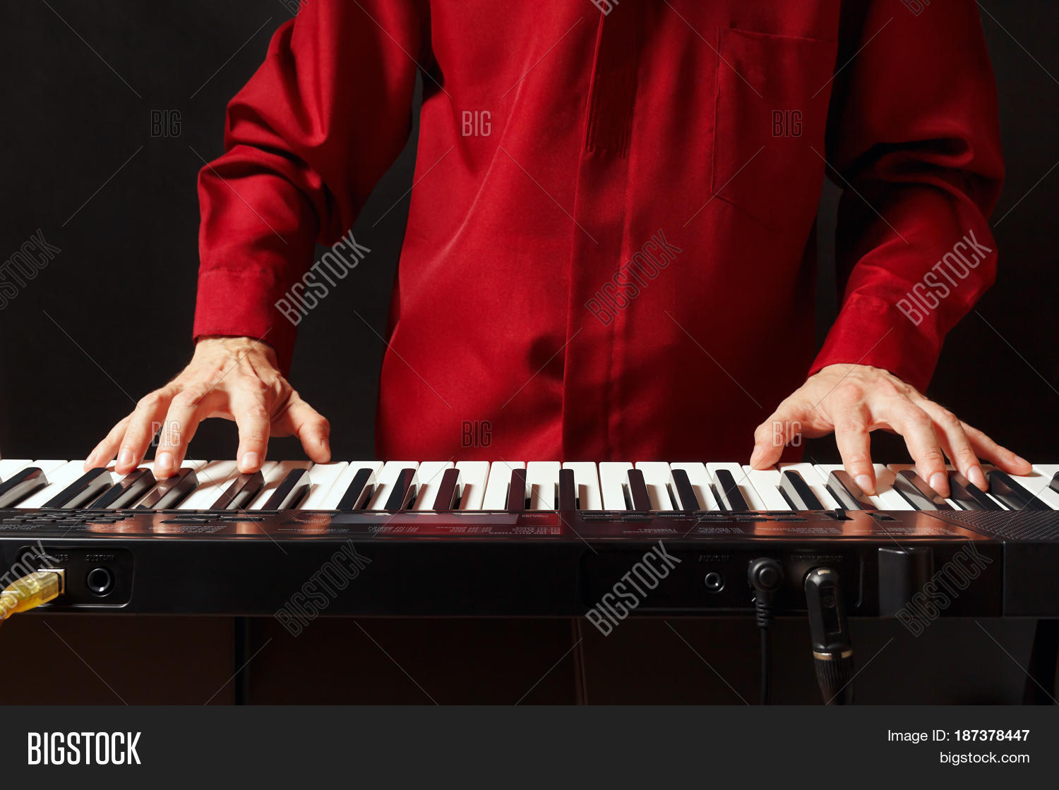 Musician Play Keys Image & Photo (Free Trial) | Bigstock