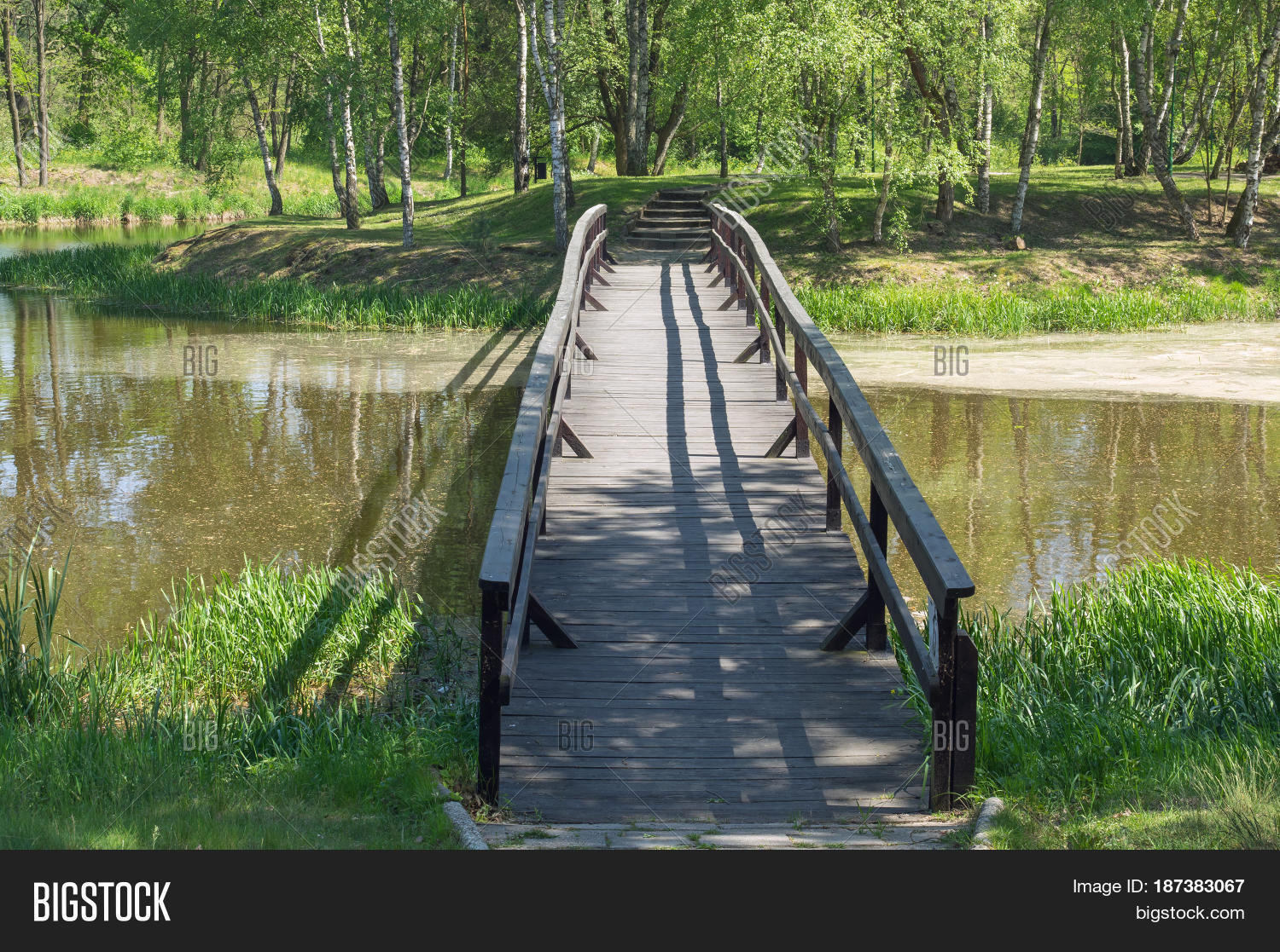 Photo Shows Small Image & Photo (Free Trial) | Bigstock