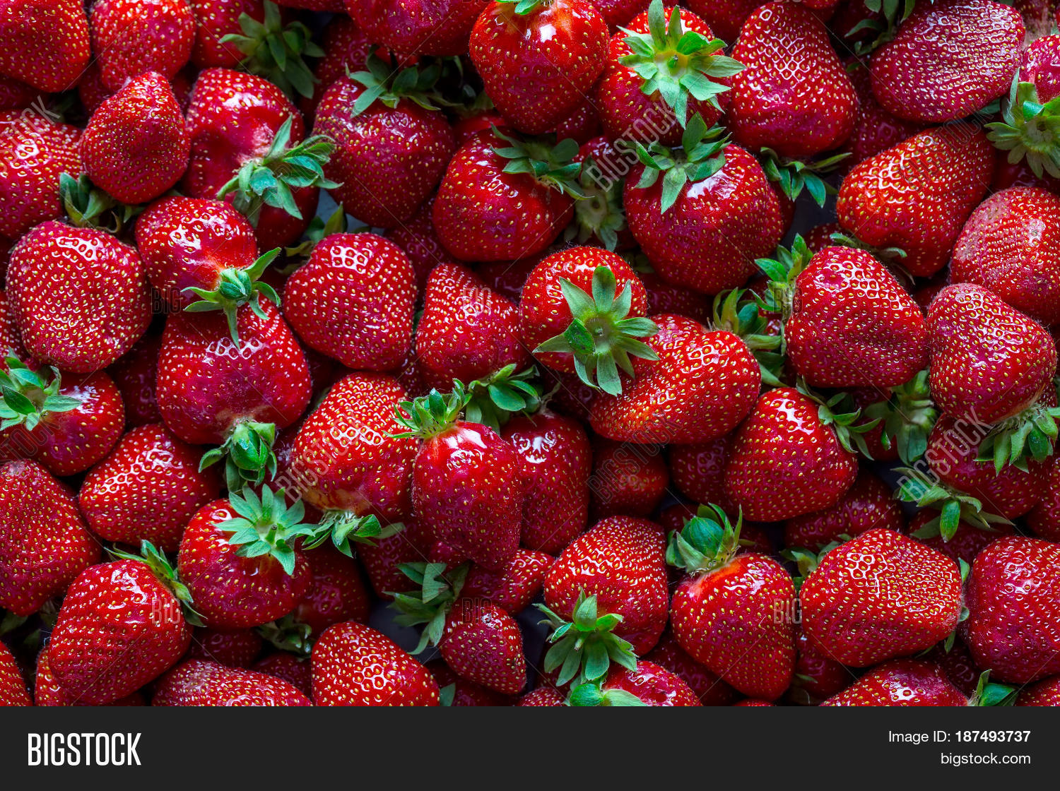 Strawberry. Red Image & Photo (Free Trial) | Bigstock