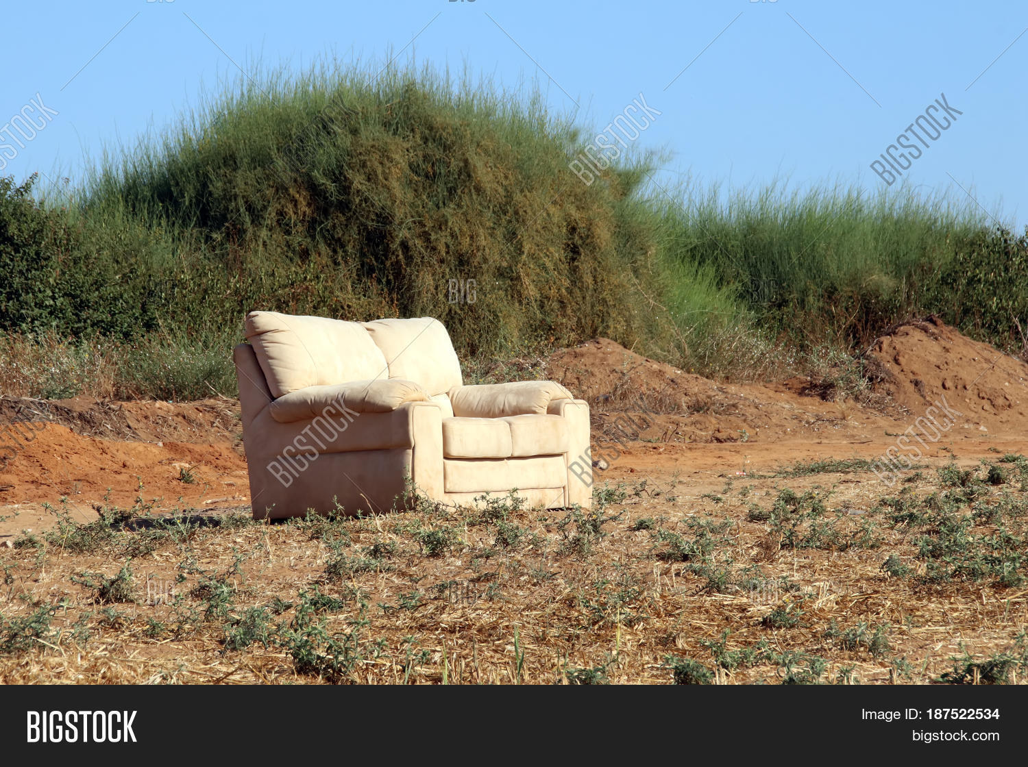 Sofa On Field Image & Photo (Free Trial) | Bigstock