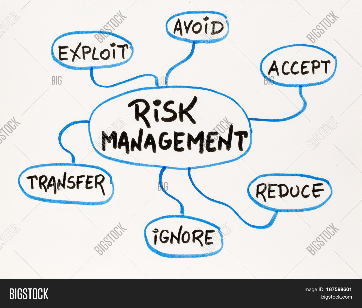 Risk Management Flow Image & Photo (Free Trial) | Bigstock