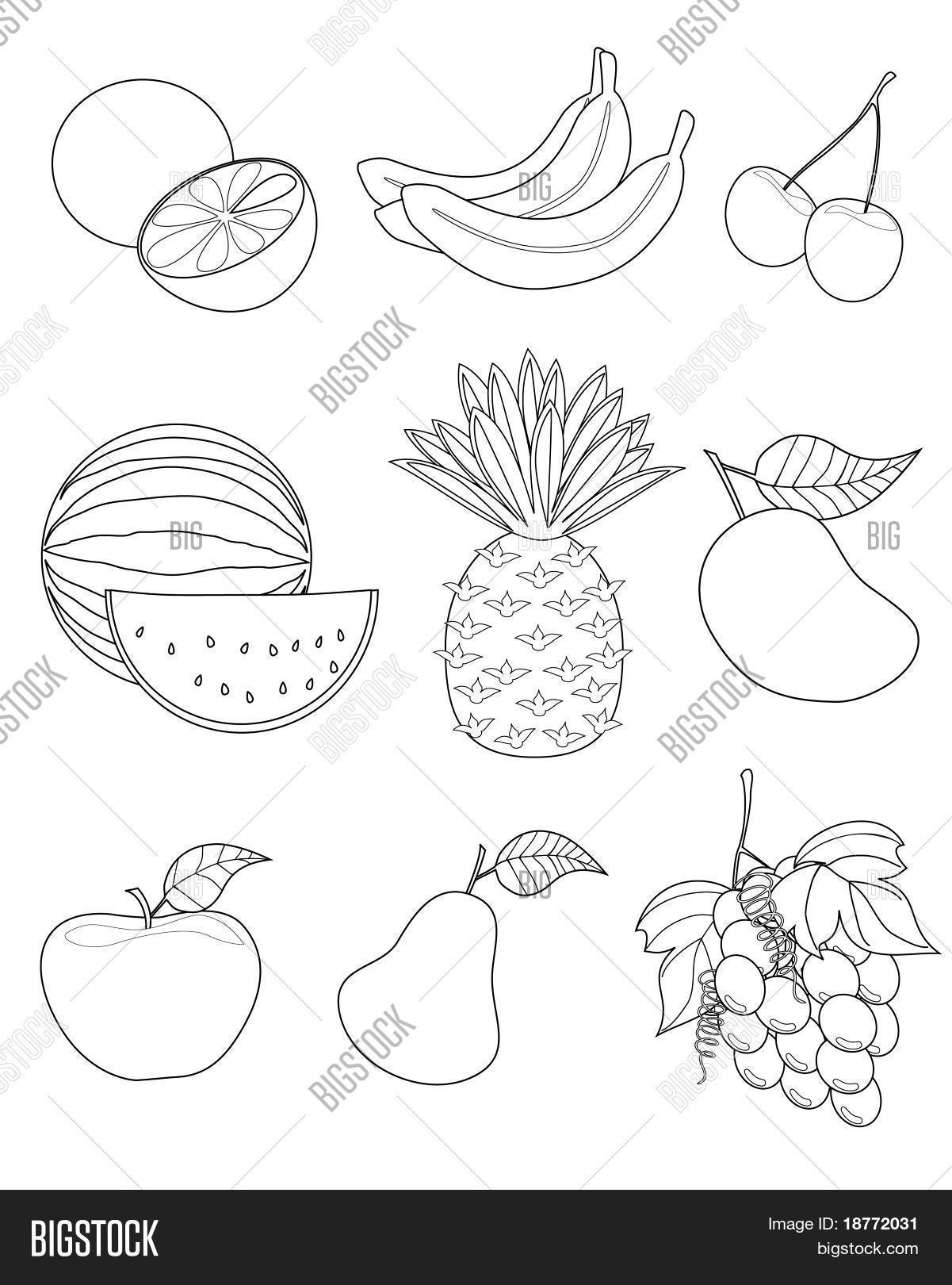 Illustration Assorted Image & Photo (Free Trial) | Bigstock