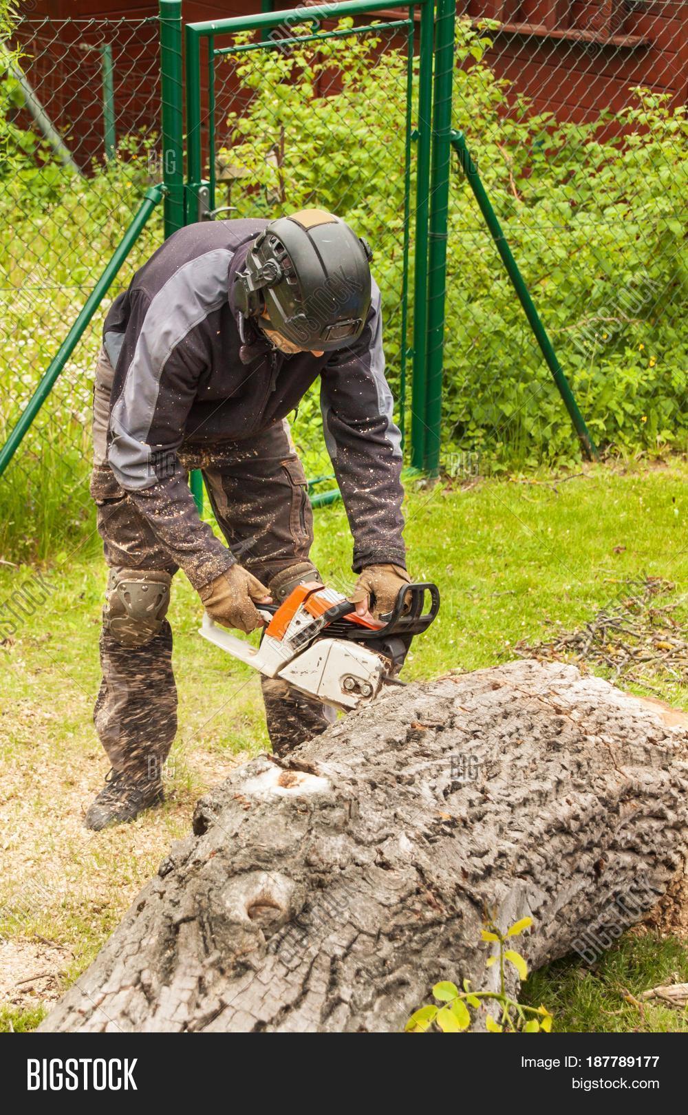 Woodcutter Cuts Chain Image & Photo (Free Trial) | Bigstock