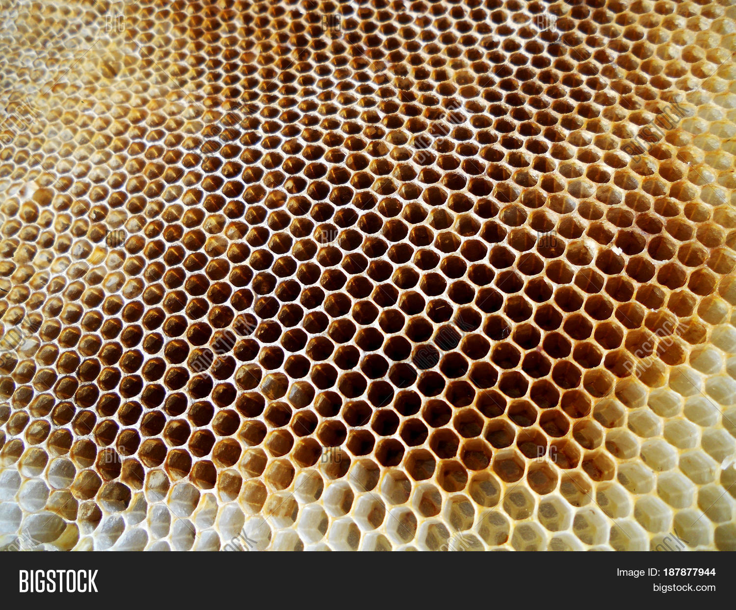 Photo Shows Beehive Image & Photo (Free Trial) | Bigstock