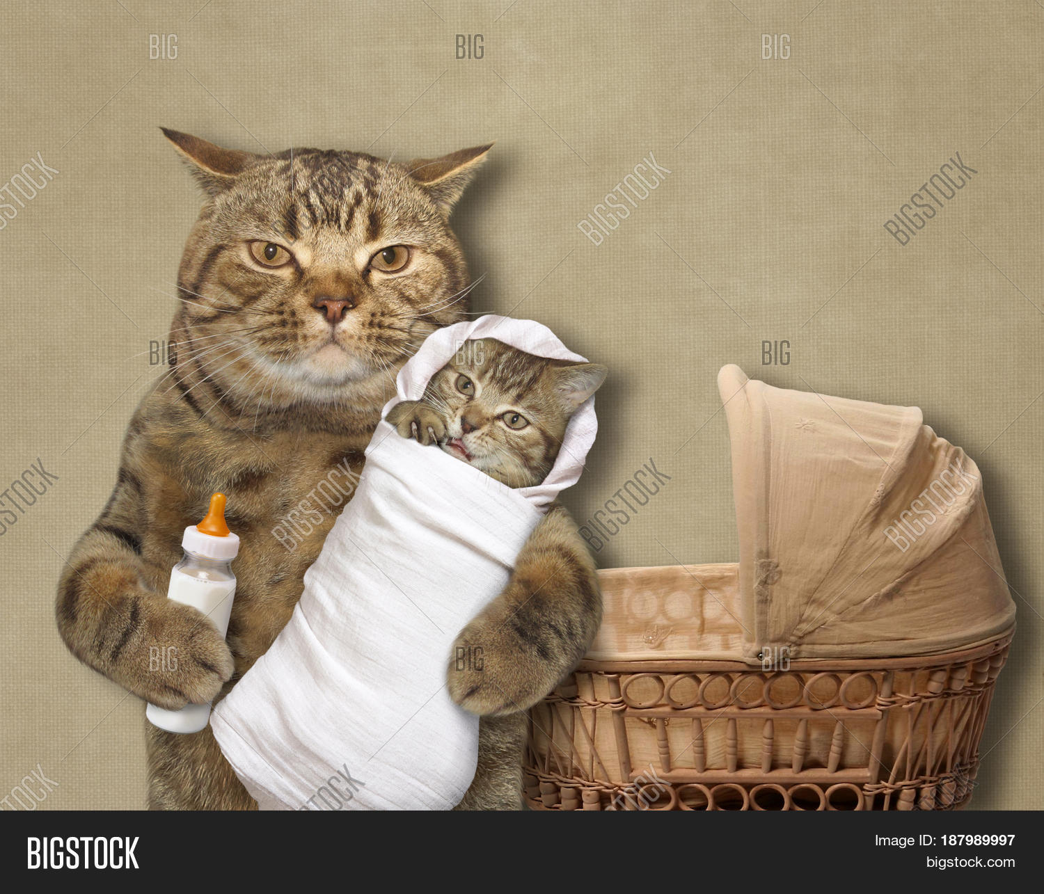 Cat Holding His Baby Image & Photo (Free Trial) | Bigstock