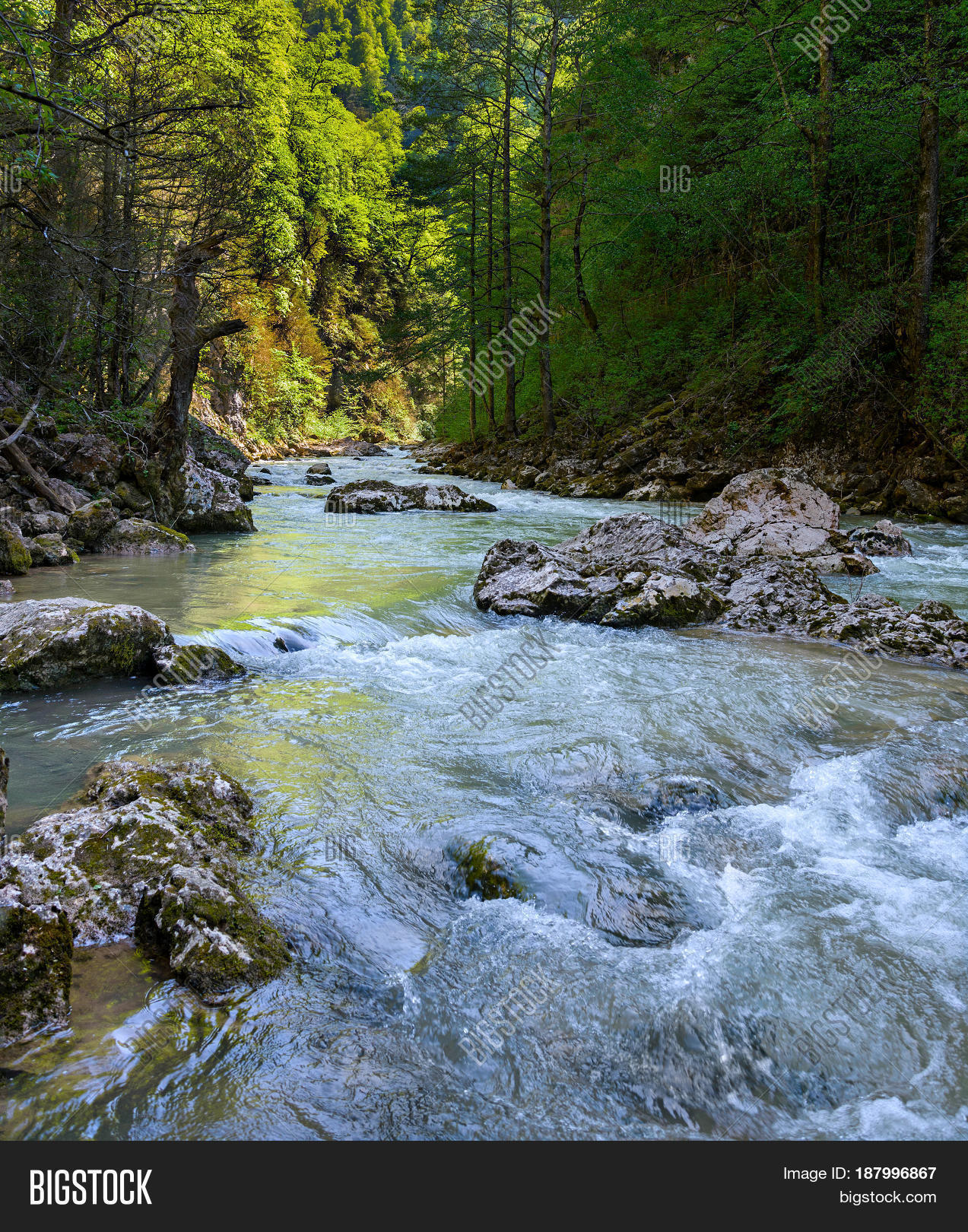 Mountain River Flowing Image & Photo (Free Trial) | Bigstock