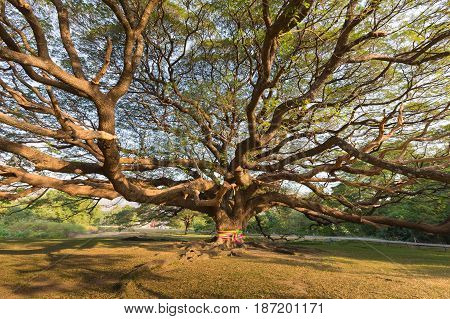 Under Stand Alone Big Image & Photo (Free Trial) | Bigstock