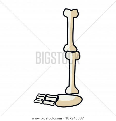Cartoon Leg Bone Part Vector & Photo (Free Trial) | Bigstock