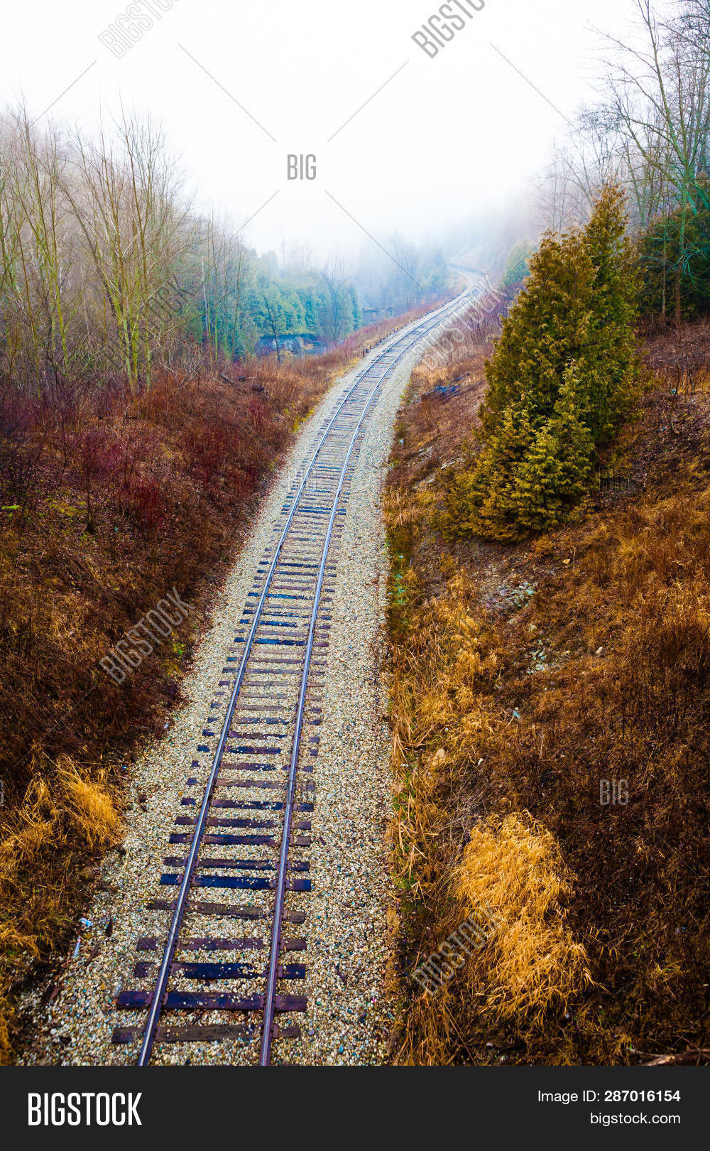 Rails Train That Run Image & Photo (Free Trial) | Bigstock