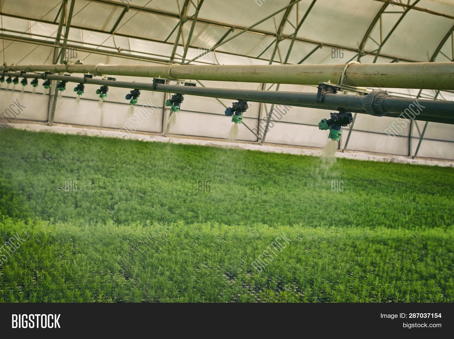 Machine Spraying Water Image & Photo (Free Trial) | Bigstock