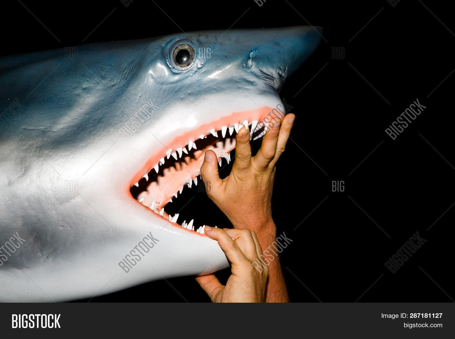 Male Hands Open Jaws Image & Photo (Free Trial) | Bigstock