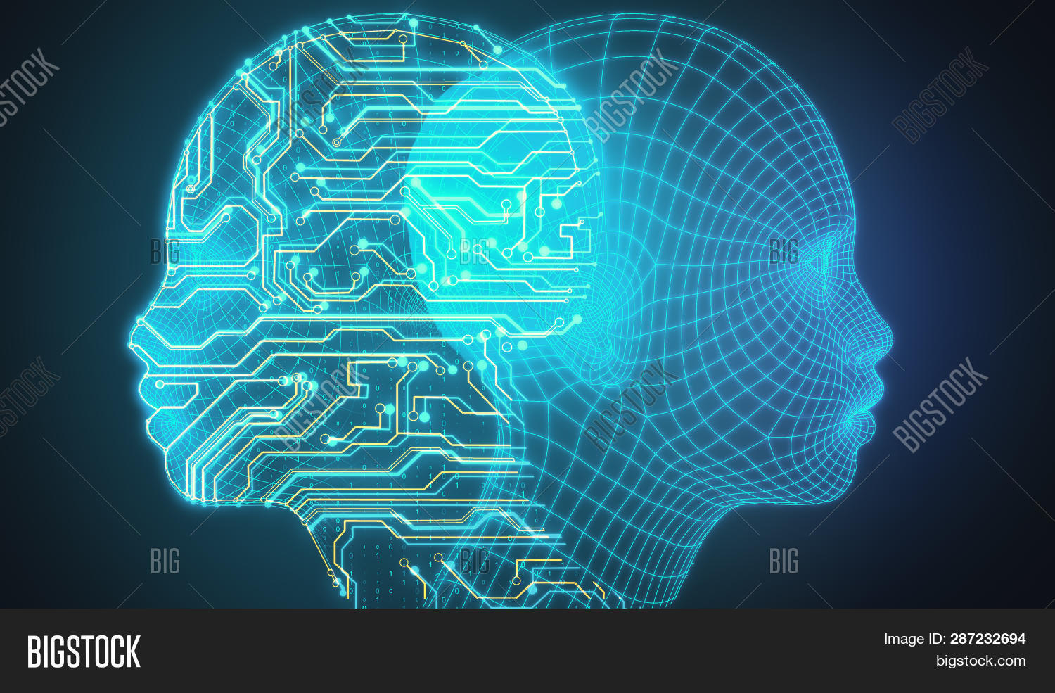 Digital Circuit Head Image & Photo (Free Trial) | Bigstock