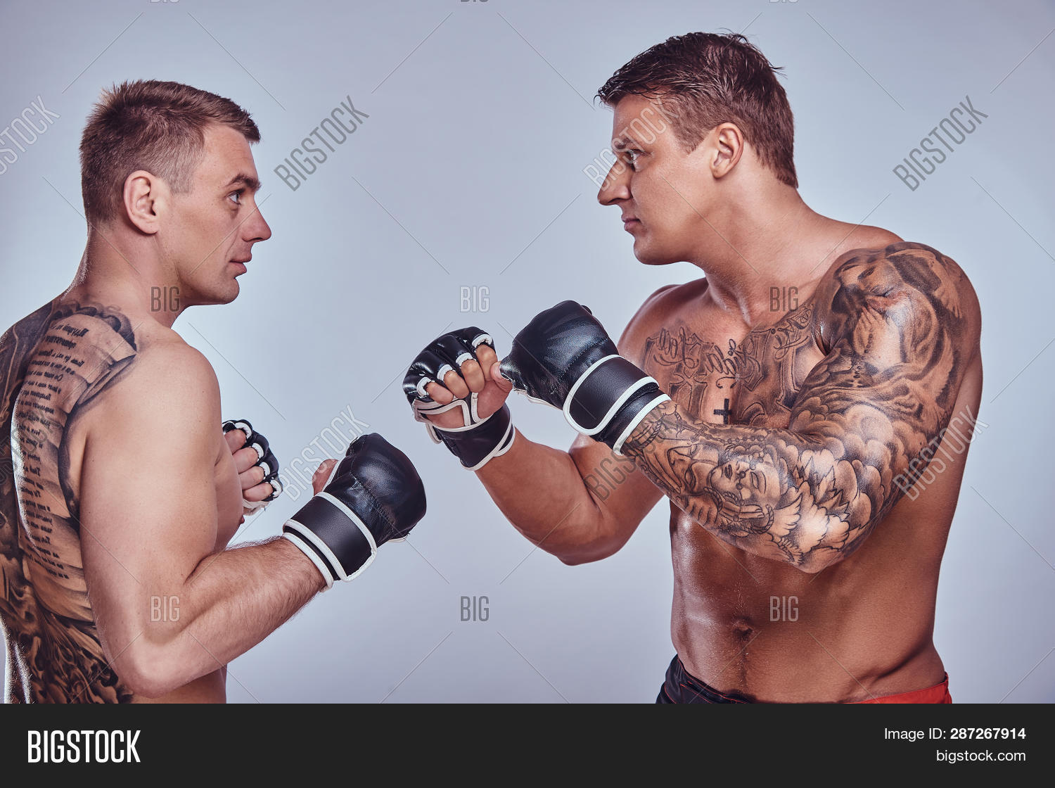 Two 图片和照片（免费试用） | Bigstock