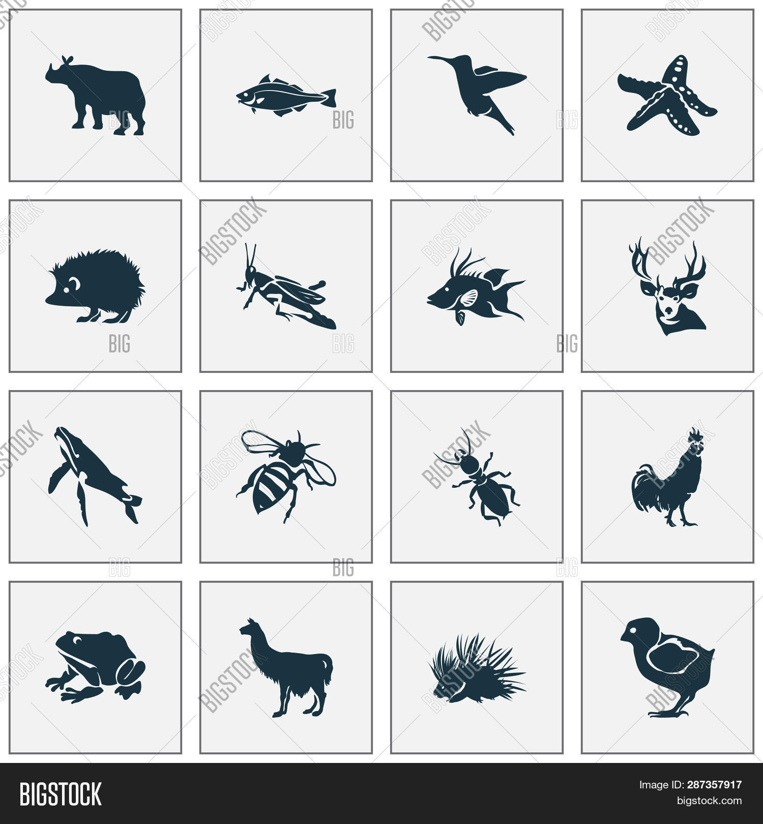 Animal Icons Set Whale Image & Photo (Free Trial) | Bigstock