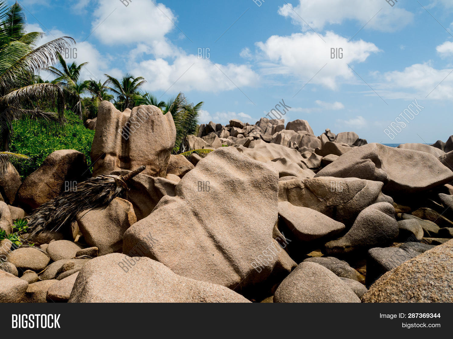 Landscape Tropical Image & Photo (Free Trial) | Bigstock